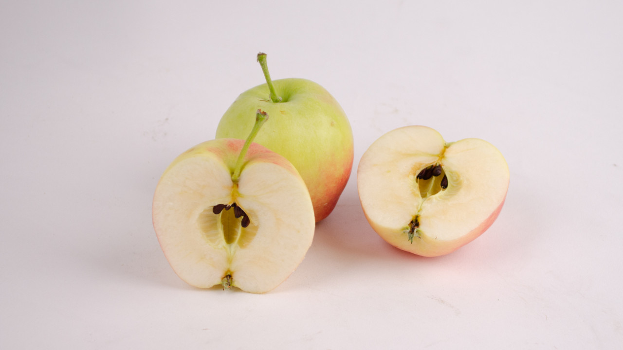 Galmac Apfel Kiste online bestellen/kaufen bei Vegansnacks.de